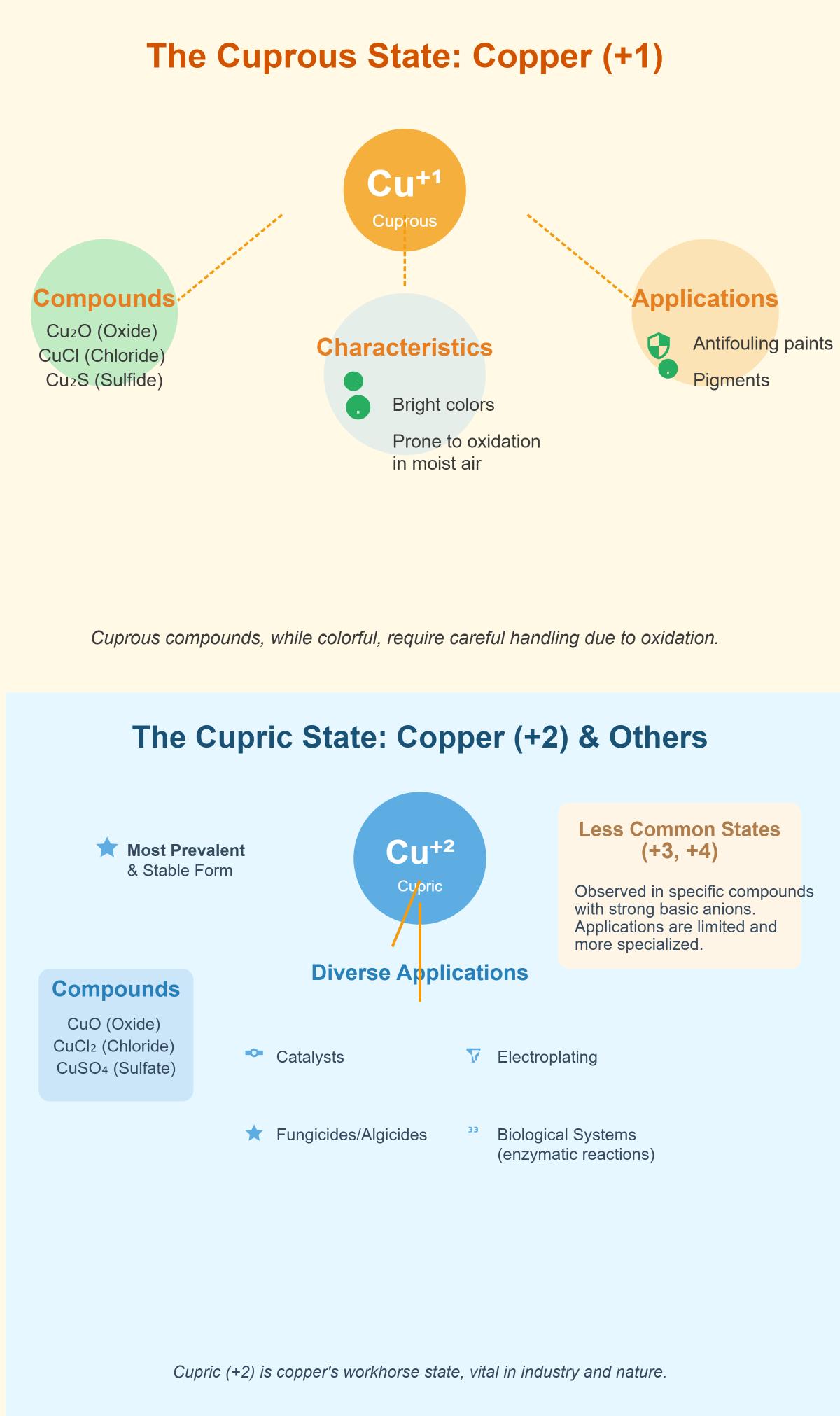 Understanding Copper's Oxidation States: A Technical Deep Dive - MFG Shop