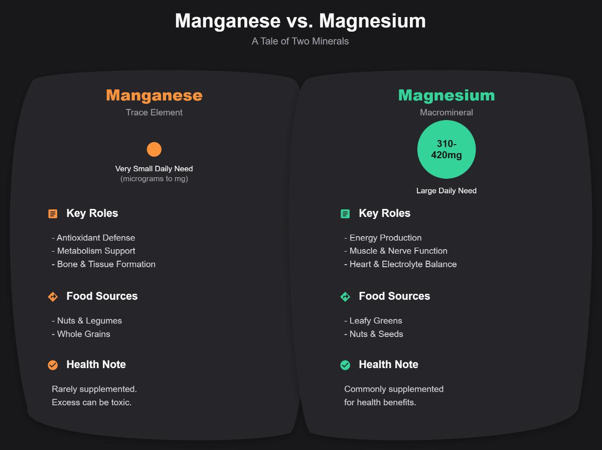 Manganese vs Magnesium: Properties, Uses, and Comparisons - MFG Shop